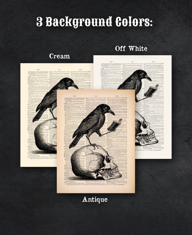 Skull With Raven Edgar Allan Poe Raven Nevermore Book Reading - Etsy