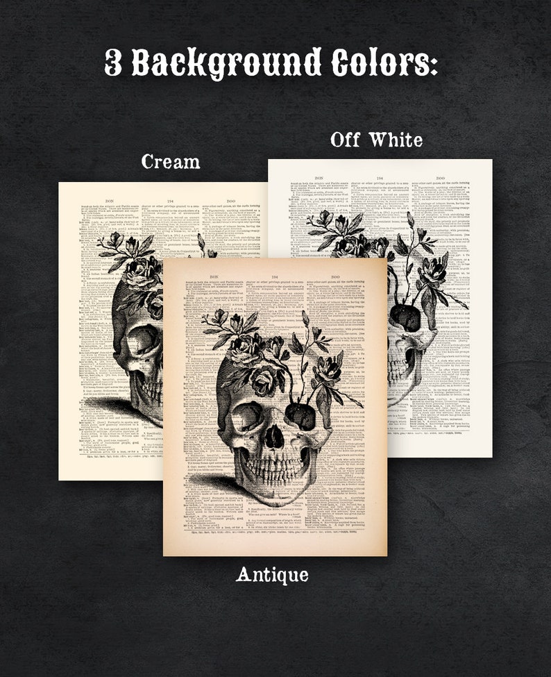 Floral Skull Art, Dictionary Skull, Mystery Poster Pack, Skull Print ...