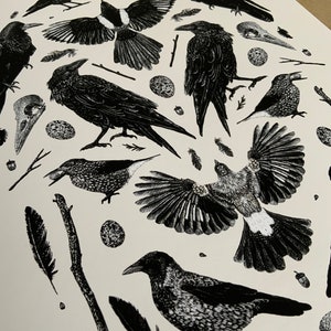 Raven Crow Crow Birds Illustration Print - Etsy
