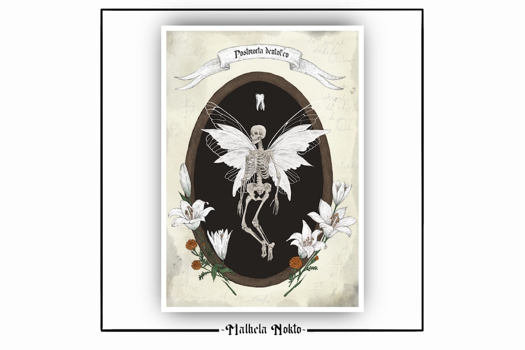 Postmortem Tooth Fairy Skeleton Medieval Witch Magic Alchemy ...
