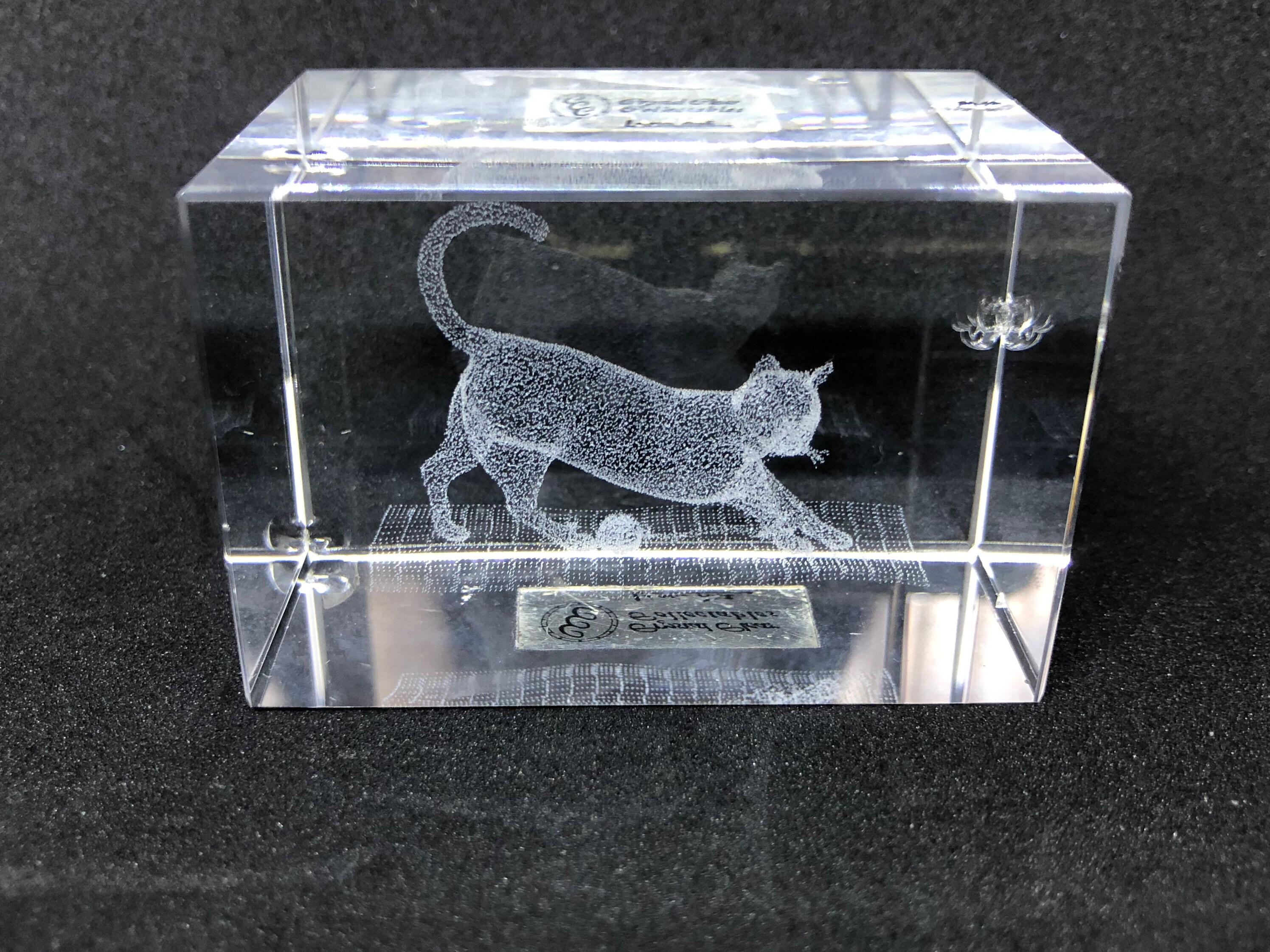 Cat Laser Art - Etsy UK