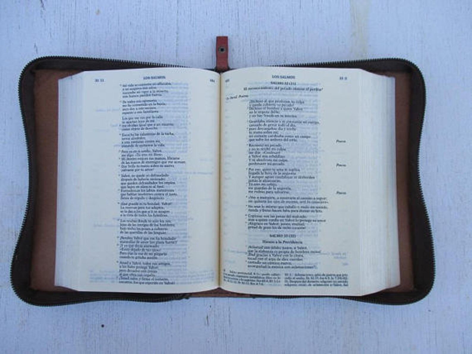 Bible or Breviary Cover Liturgy of the Hours Cover Missal | Etsy