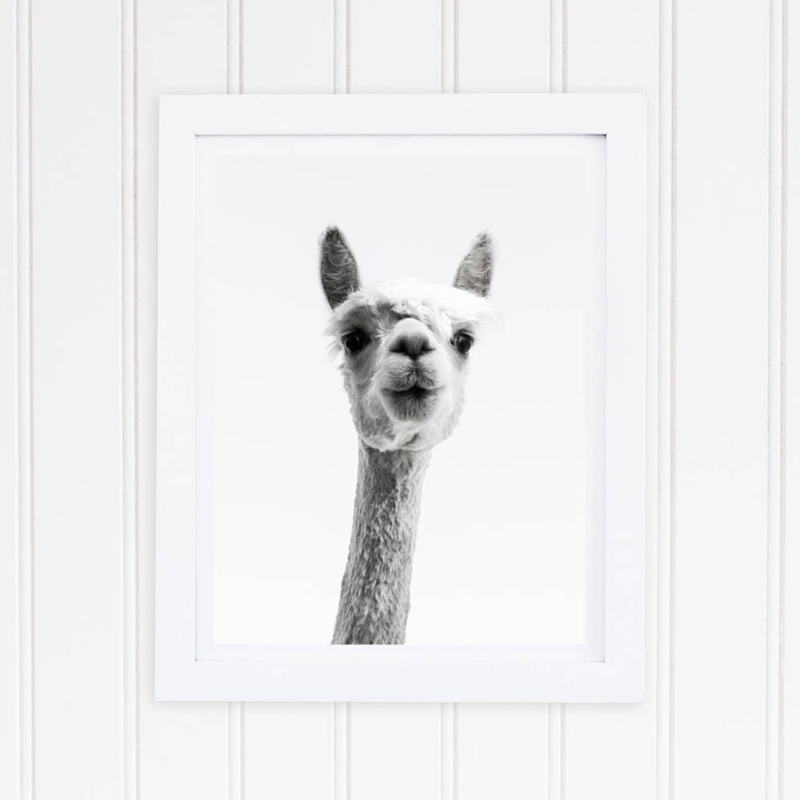 Alpaca Print Alpaca Print Wall Art Alpaca Printable Lama | Etsy