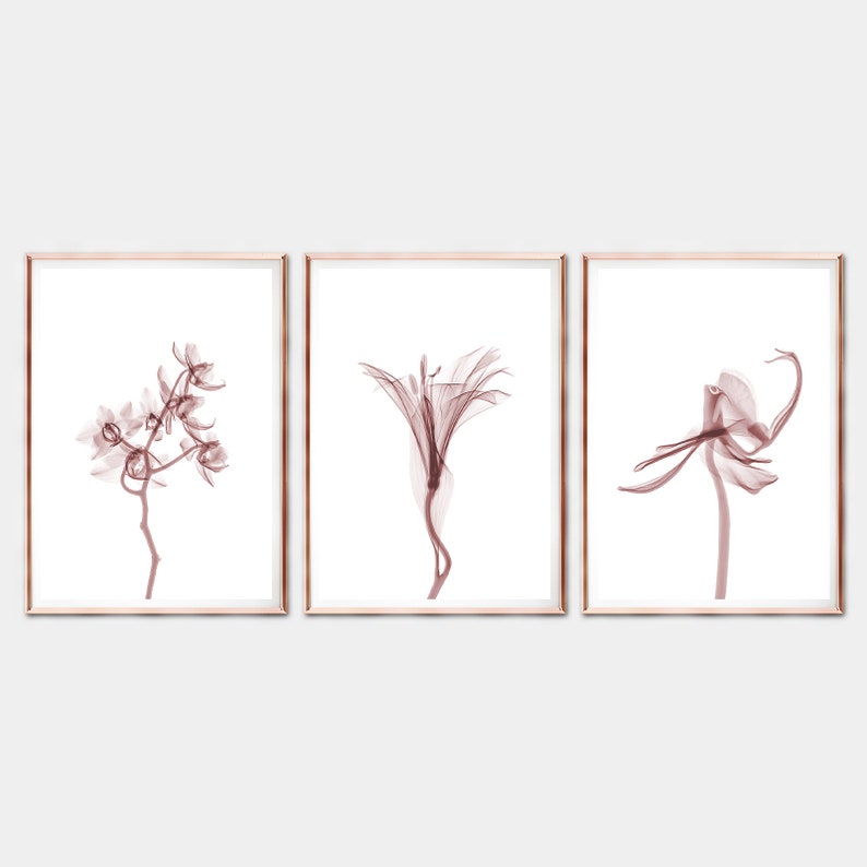 Set of 3 Pink Prints Set of 3 Wall Art Set of 3 Prints Set - Etsy