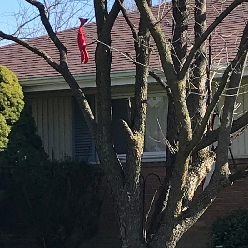 Candy the Red Cardinal Garden Art - Etsy