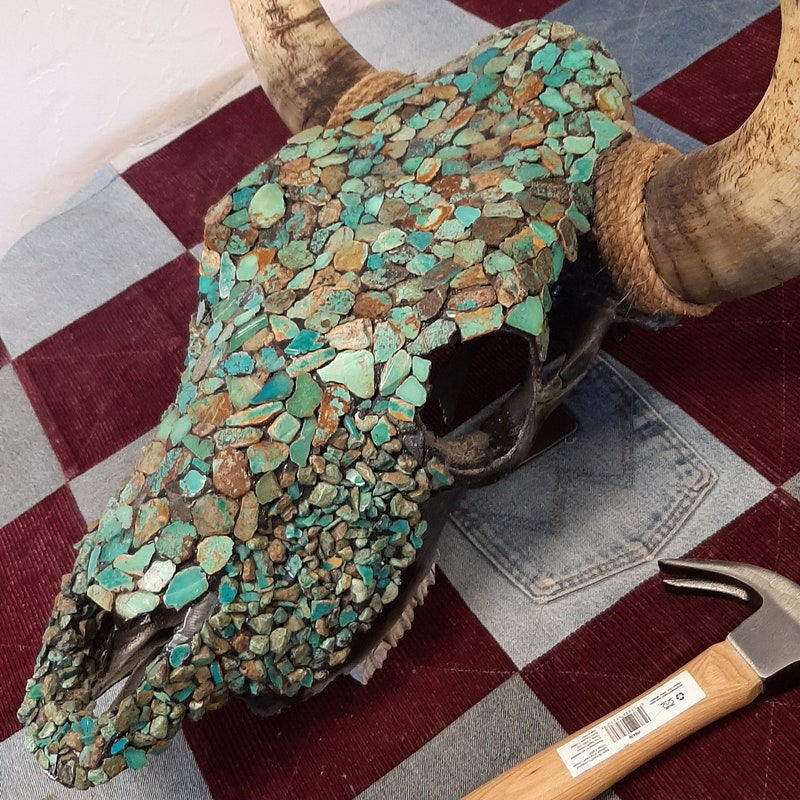 Buffalo Skull - Etsy