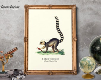 Lemur print | Etsy