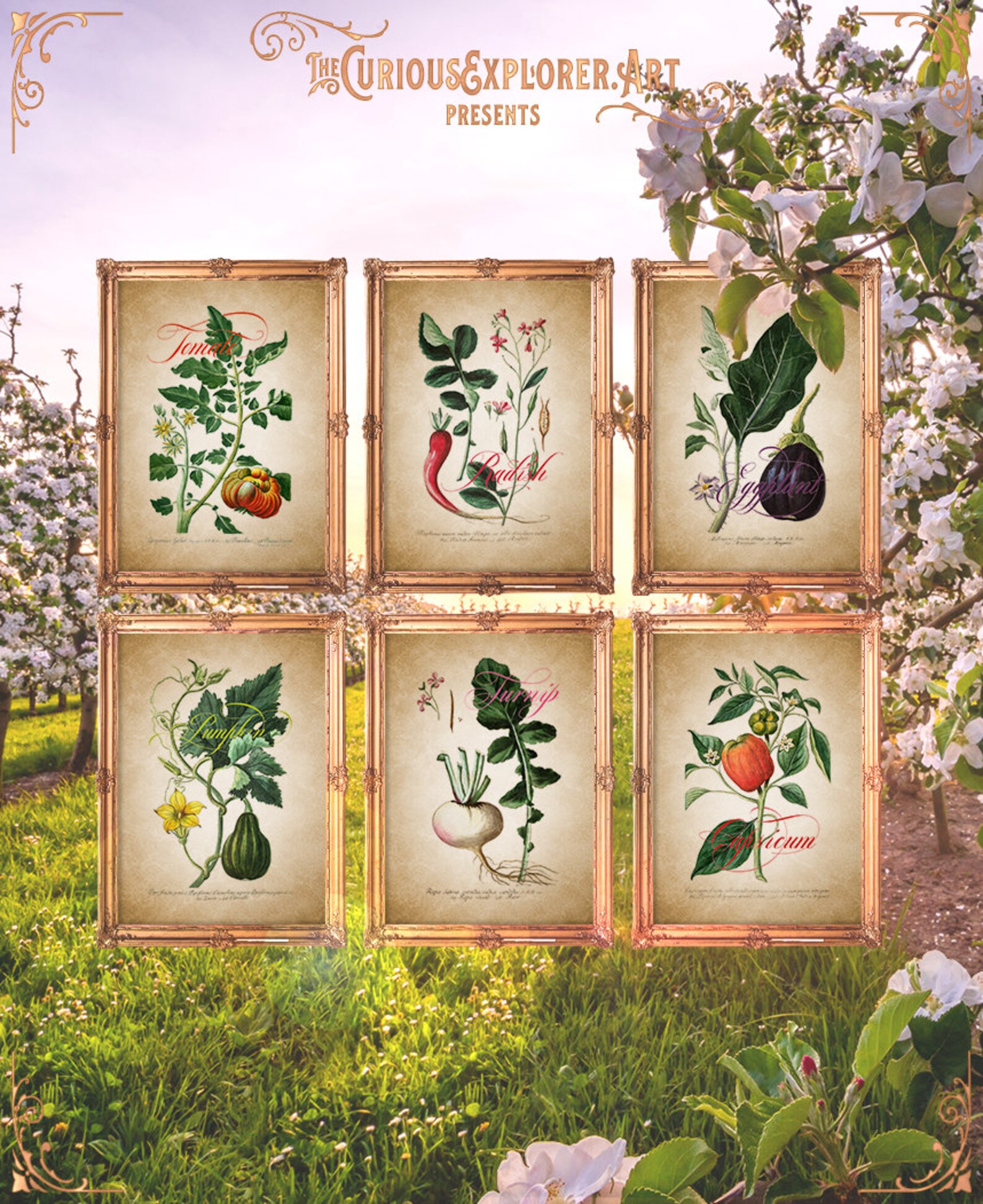 Vegetable Print Botanical Print Vegan Print Botanical Wall - Etsy