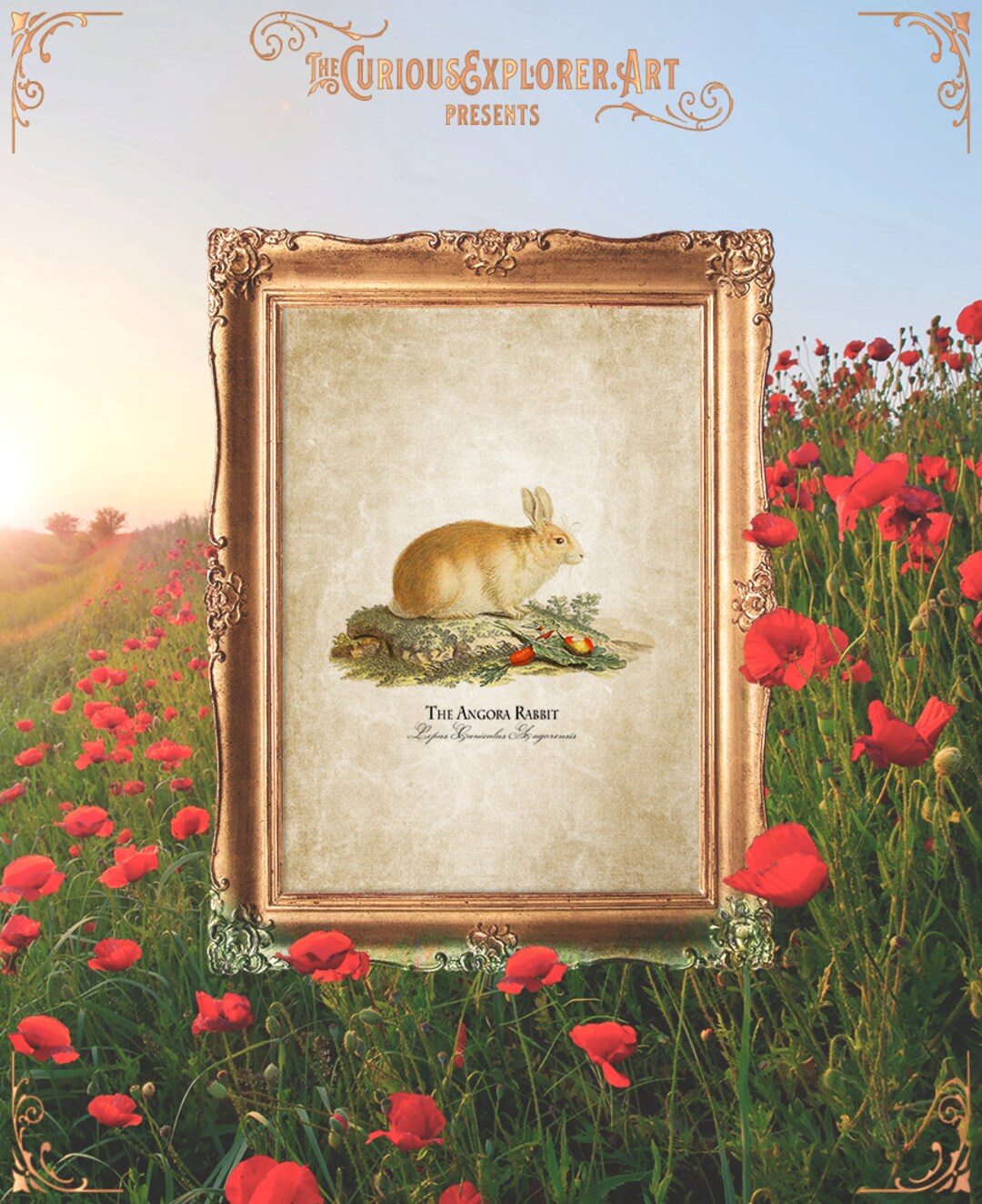 Rabbit Art Poster, Cool Animal Wall Art, Rabbit Baby Shower, Animal ...