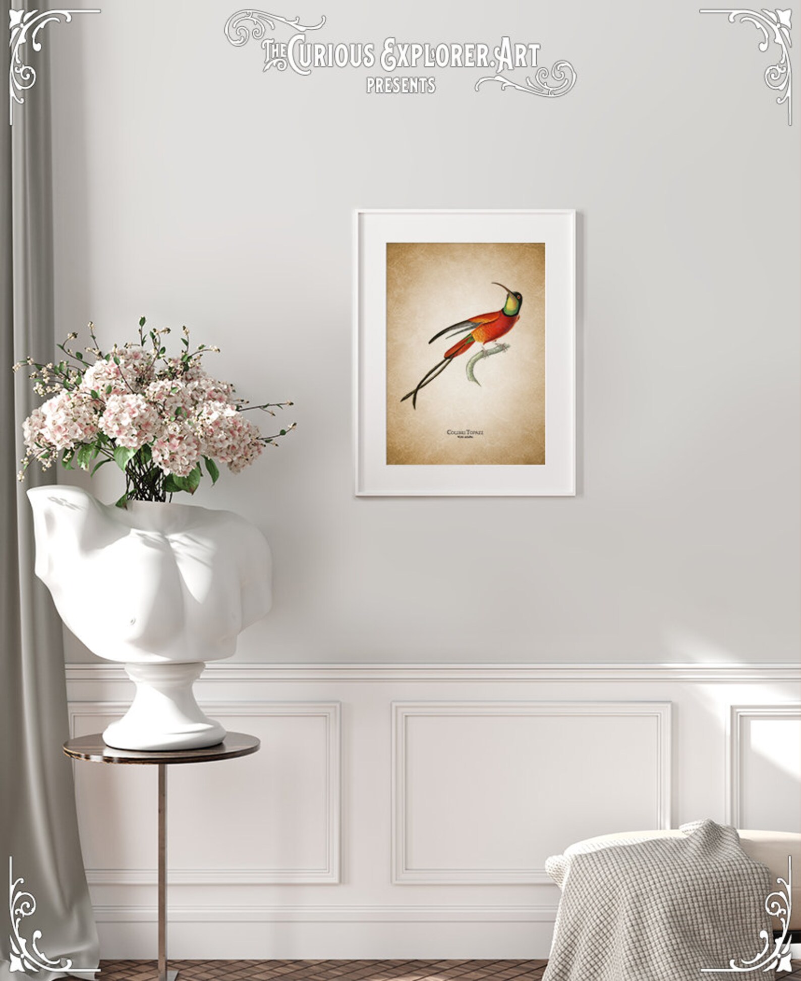 Hummingbird Decor Birds Room Decor Girl Gift Gallery Art | Etsy