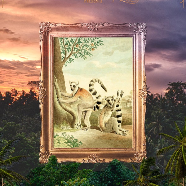 Lemur Print - Etsy