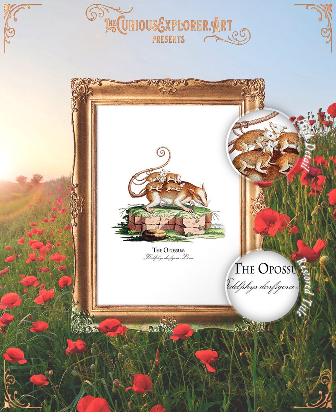 Opossum Wall Art, Funny Opossum Print, Opossum Couples Gift, New Home ...