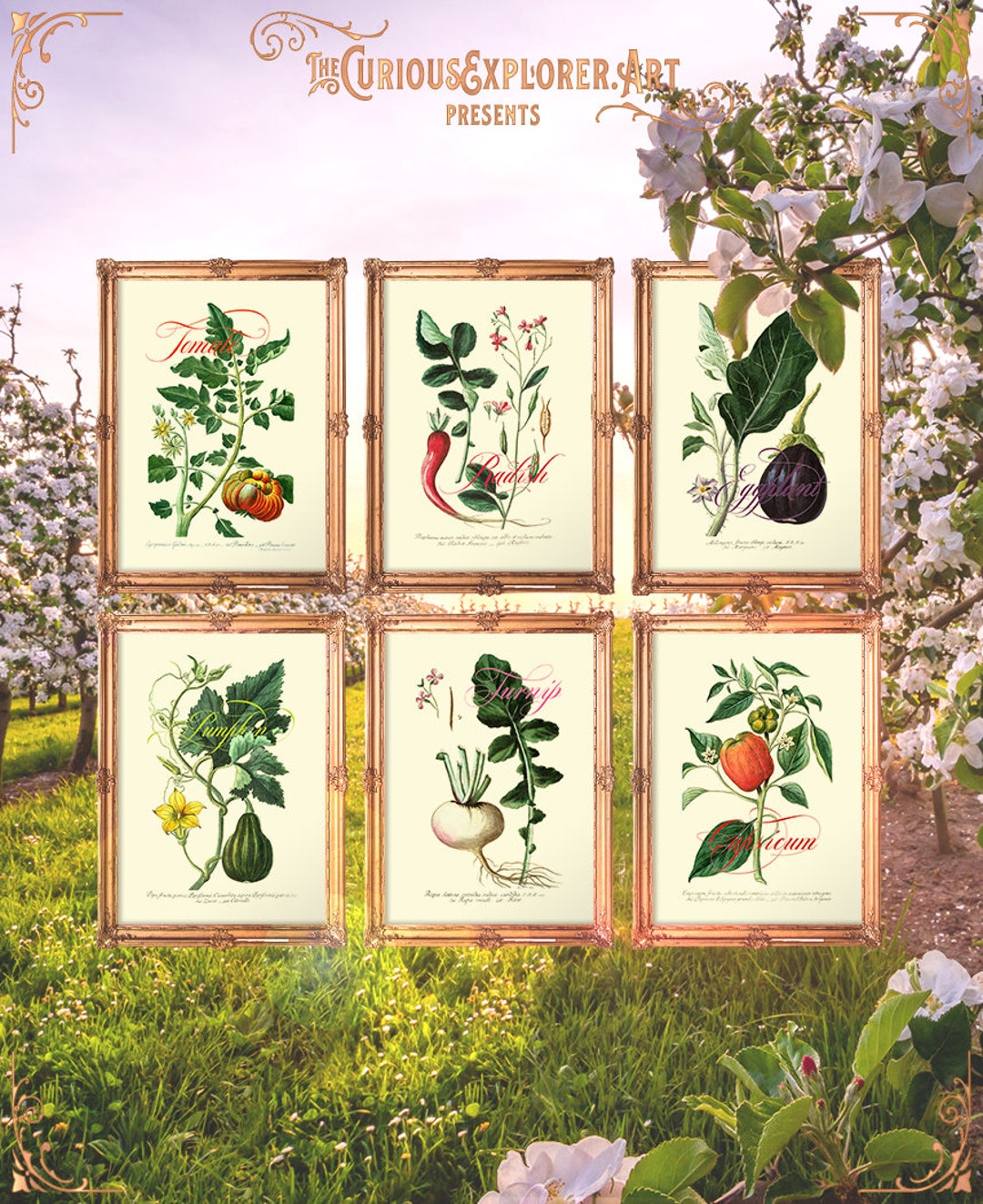 Vegetable Print, Botanical Print, Vegan Print, Botanical Wall Decor ...