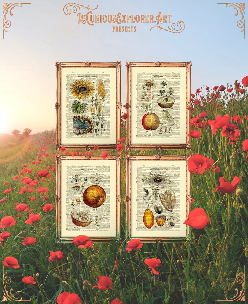Botanical Poster Set Fruit Poster Set Wall Hanging Set | Etsy