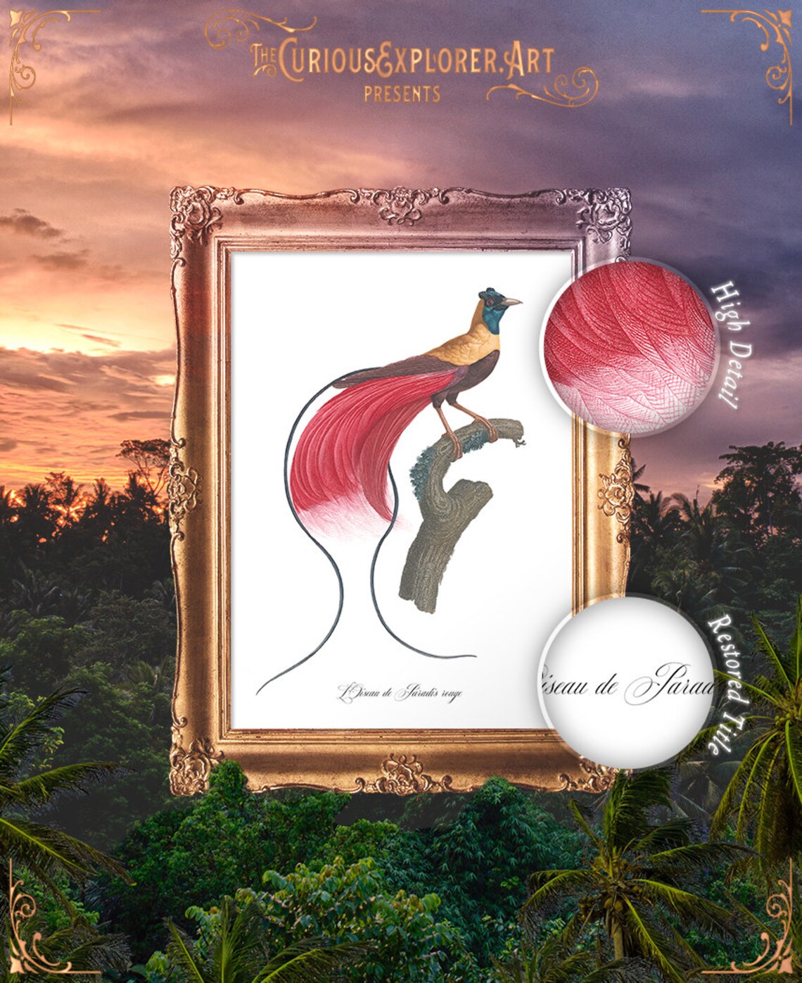 Bird of Paradise Art Exotic Birds Art Jungle Poster Bird - Etsy