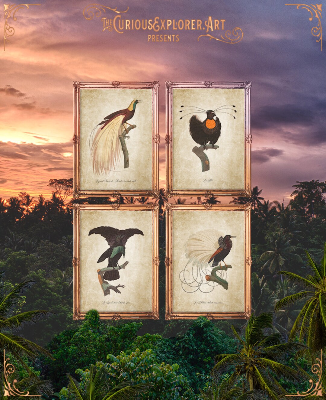 Paradise Bird Set Birds Gift Set Tropical Wall Decor Birds - Etsy