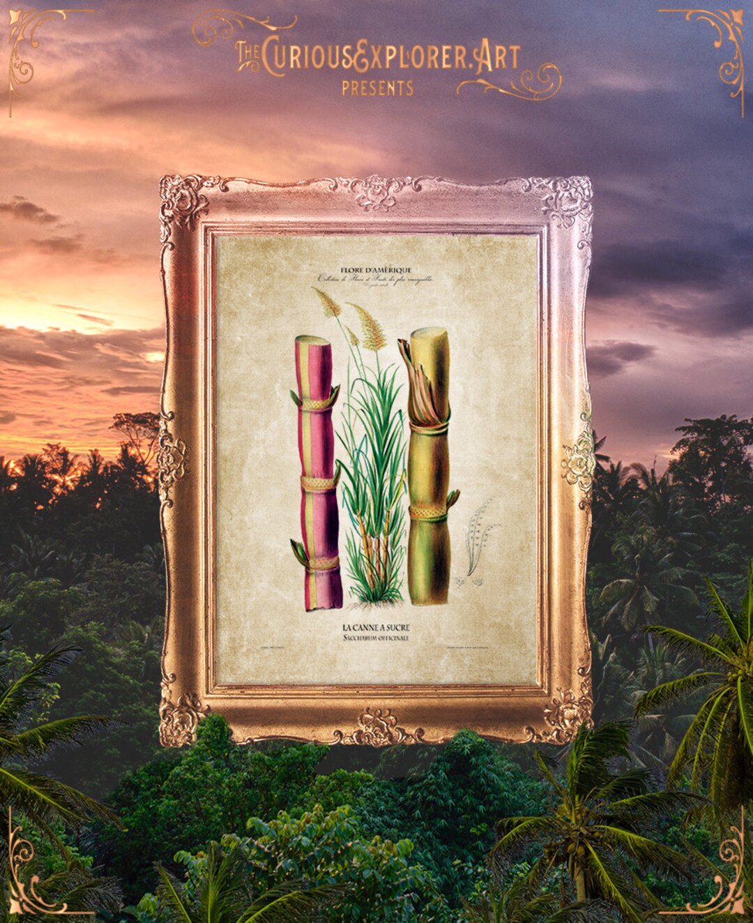 Sugar Posters, Sugar Wall Art, Vintage Sugar Print, Rustic Sugar Art ...