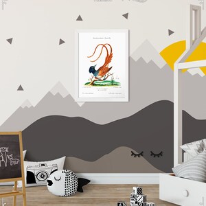 Exotic Bird Poster, Vintage Bird Posters, Parrot Prints, Long Tailed ...