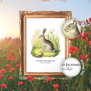 Rabbit Art Print, Cute Animal Art, Rabbit Mother Gift, Animal Print ...