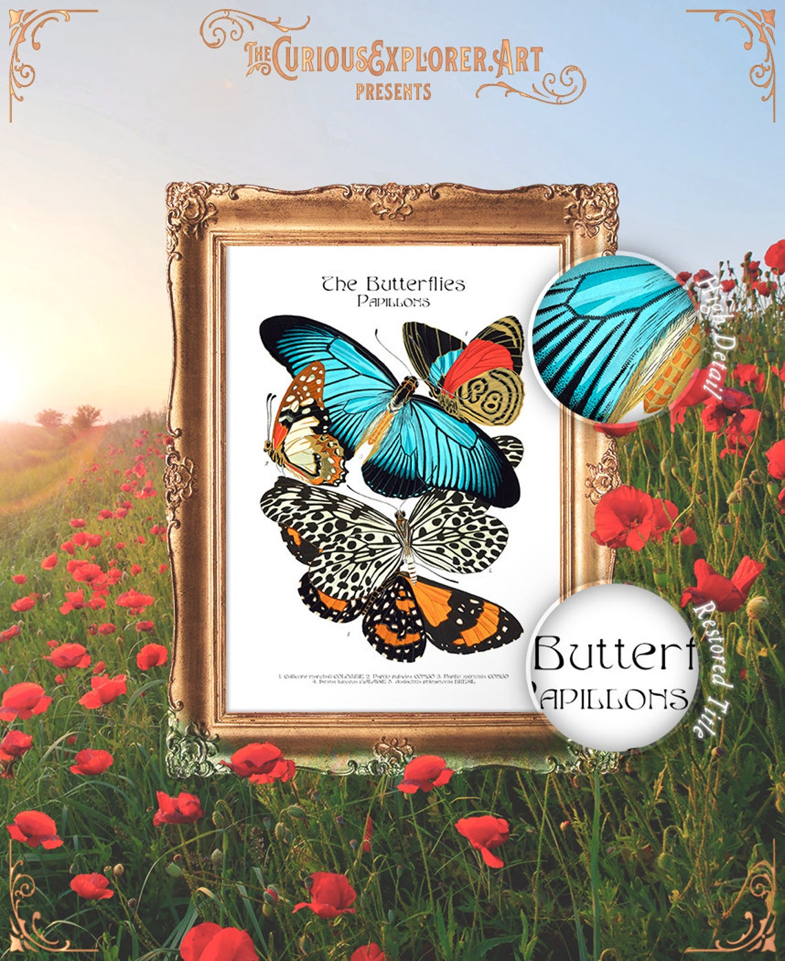 Blue Butterfly Print Butterflies Posters Prints Gift for | Etsy