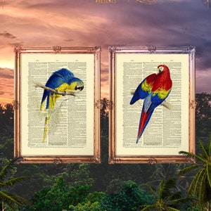 Blue Cockatoo Poster, Wedding Favor Prints, Birds Bathroom Decor, Bird ...