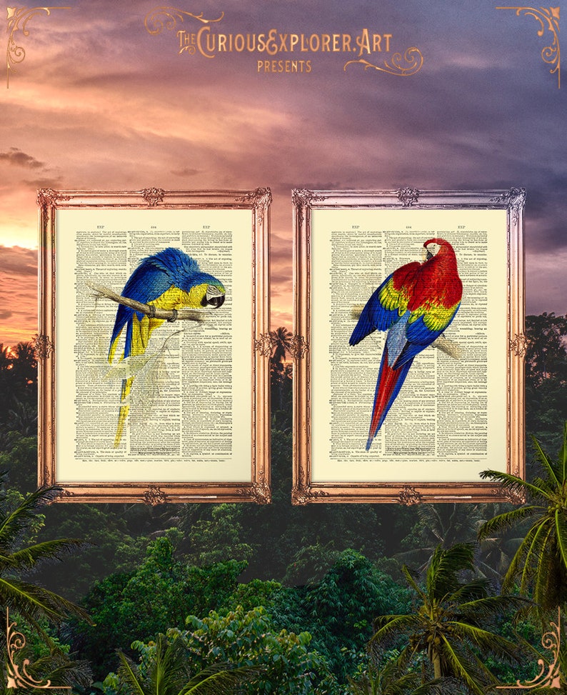 Blue Cockatoo Poster Wedding Favor Prints Birds Bathroom | Etsy