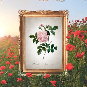 Rose Print, Pink Rose Print, Floral Decor, Gift for Mom Decor, Love ...