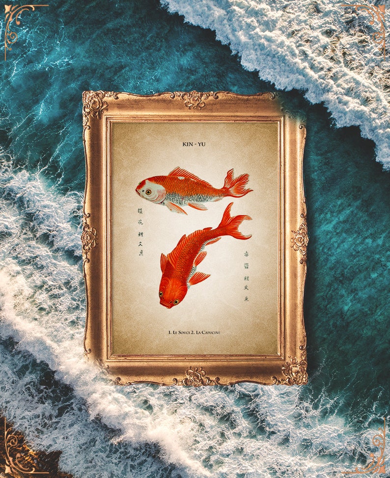 Koi Fish Poster Sea Life Poster Home Fish Wall Art Koi Fish - Etsy