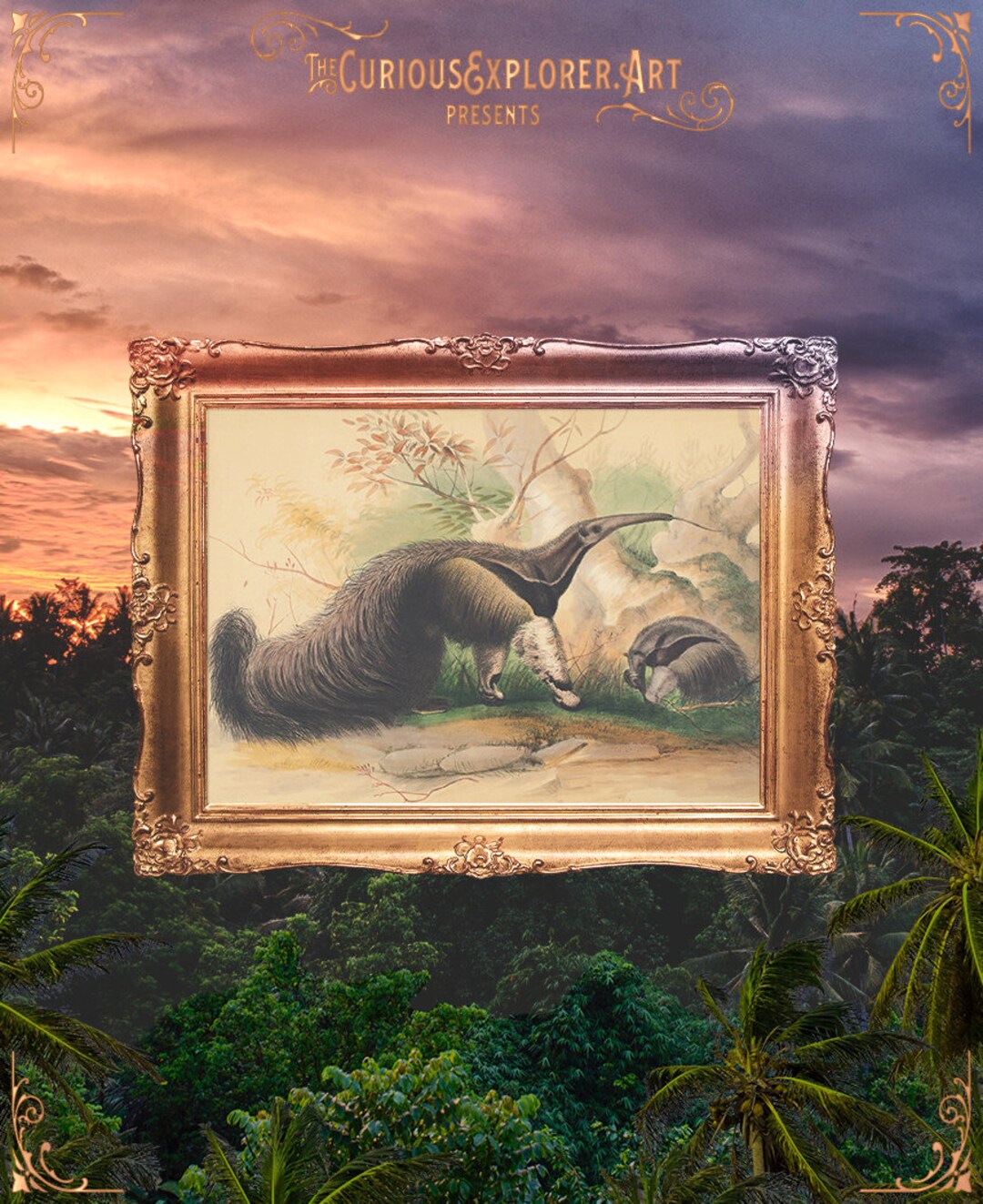 Anteater Art Print, Animal Poster, Jungle Print, Vintage Botany ...