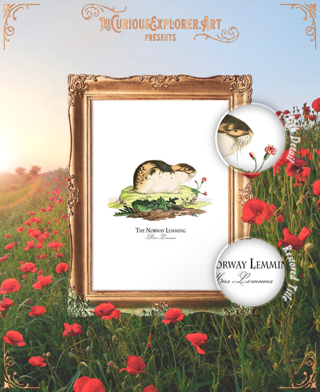 Lemming Poster, Funny Animal Prints, Lemming Boy Gift, Animal Art Decor ...