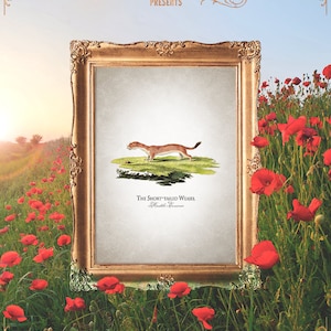 Weasel Poster, Cool Animal Wall Art, Weasel Love Gift, Animal Posters ...