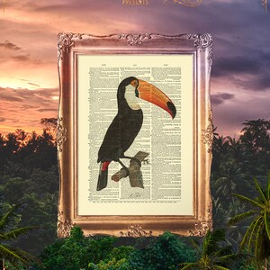 Toco Toucan Print, Animal Art Poster, Jungle Bird Poster, Bird Wall ...