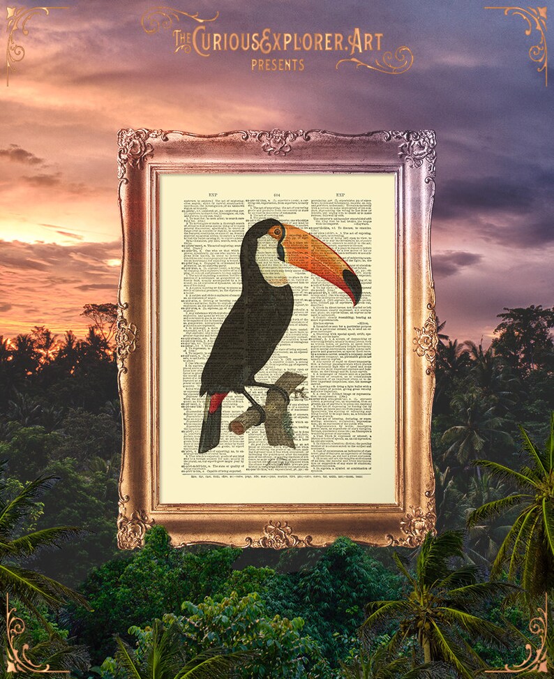 Toco Toucan Print, Animal Art Poster, Jungle Bird Poster, Bird Wall ...