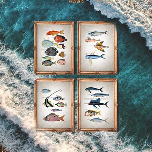 Aquatic Posters Fish Print Pack Fish Prints Tropical Fish - Etsy