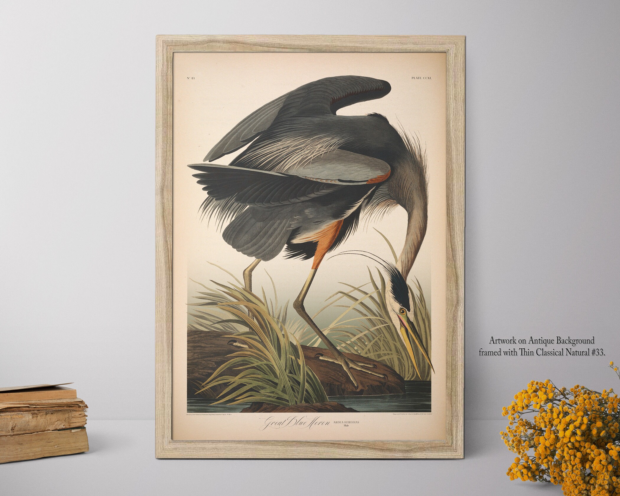 Bird Print Large Wall Art Large Framed Art Vintage Bird - Etsy