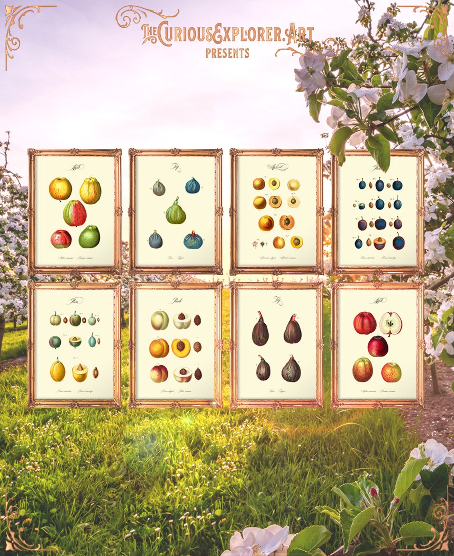 Fruit Chart Set Vegan Kitchen Print Fruits Gift Print - Etsy