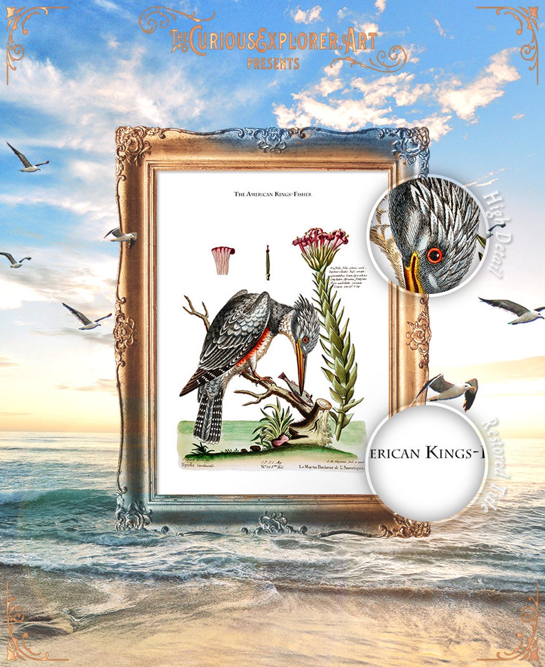 Kings-fisher Bird, Bird Art Print, Fish Bird Print, Cottage Birds Decor ...