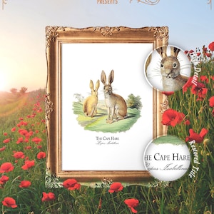 Hare Art Poster Cool Animal Poster Hare Brother Gift Animal - Etsy