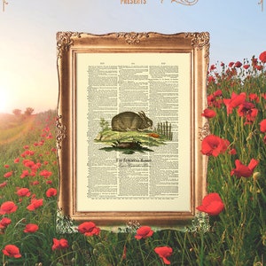 Rabbit Art, Cool Animal Prints, Rabbit Friend Gift, Animal Poster ...