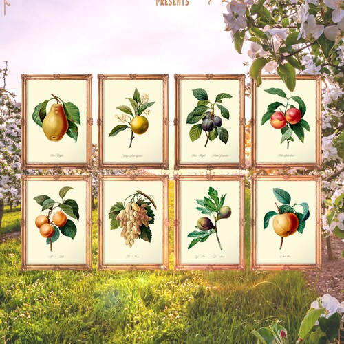 Set of 8 Botanical Print Set Fruit Wall Art Botanical Wall | Etsy