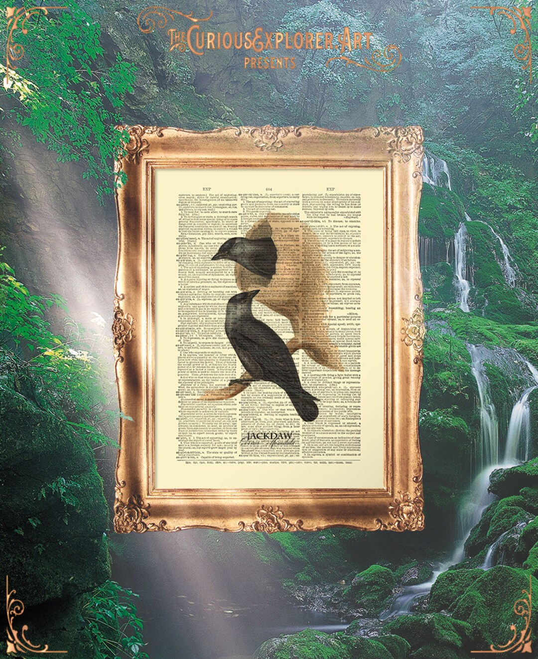 Jackdaw Poster, Black Bird Print, Jackdaw Artwork, Entryway Bird Decor ...