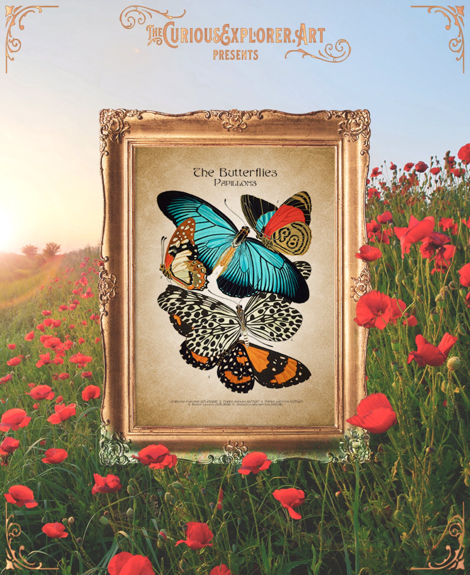 Blue Butterfly Print Butterflies Posters Prints Gift for | Etsy