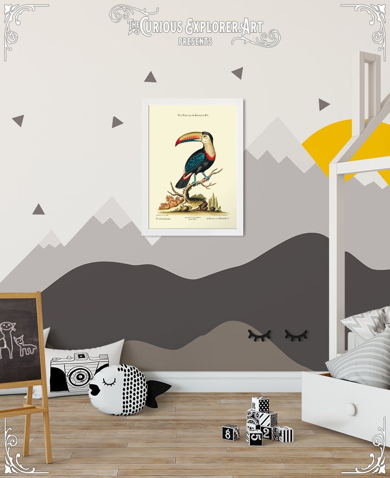 Exotic Bird Posters Victorian Birds Art Toucan Print Toucan - Etsy