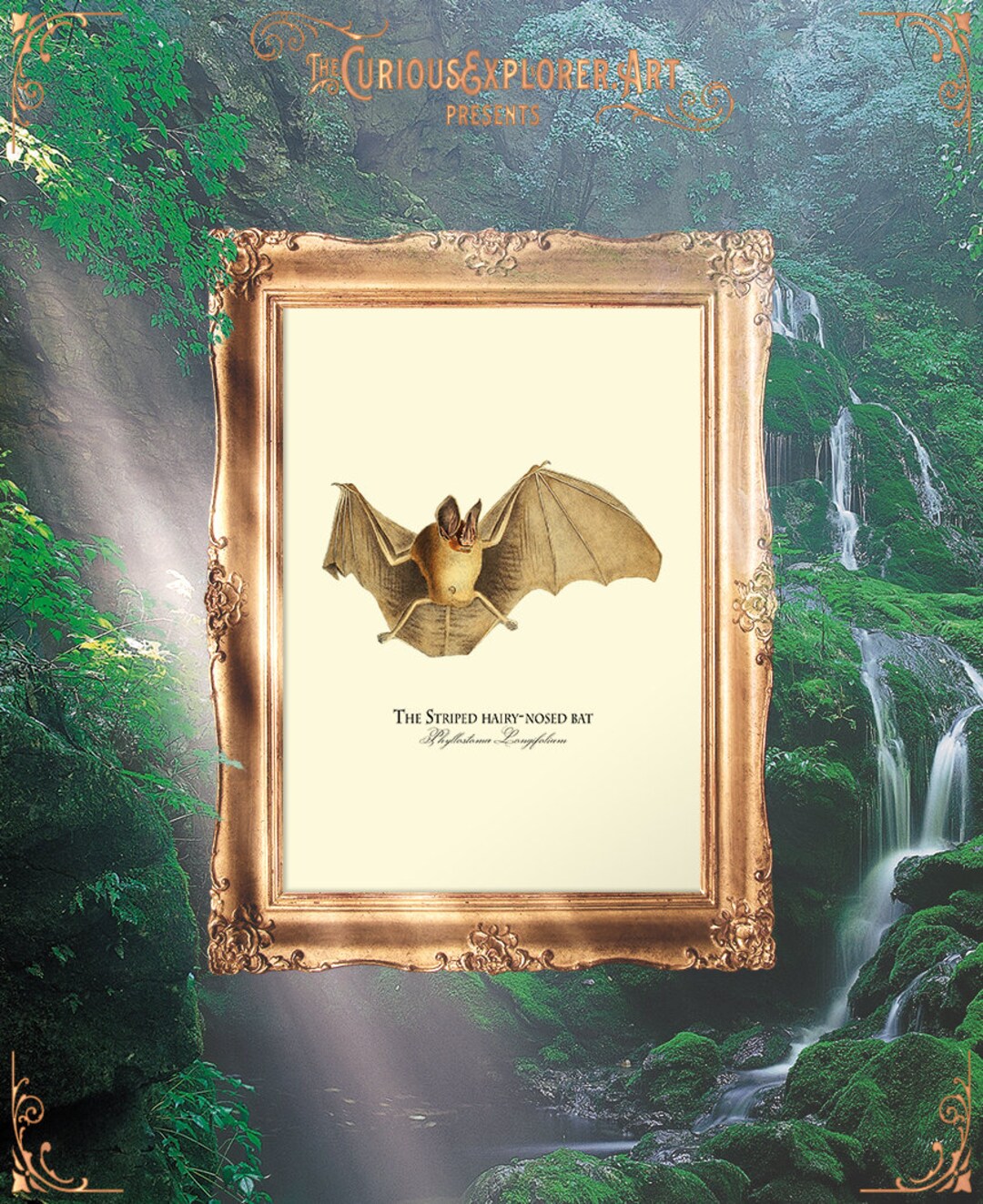 Bat Art Print, Vintage Animal Decor, Bat Halloween, Animal Home Decor ...