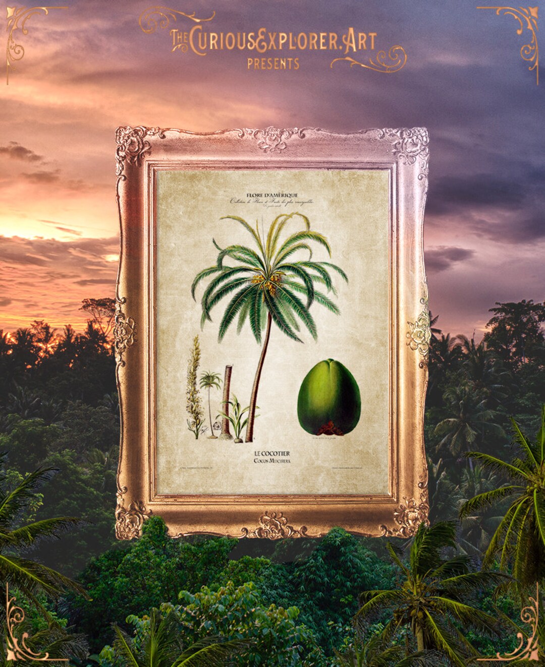 Old Coconut Print, Coconut Tree Poster, Sister Gift Print, Old Biology ...
