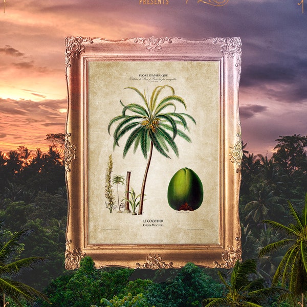 Coconut Print - Etsy