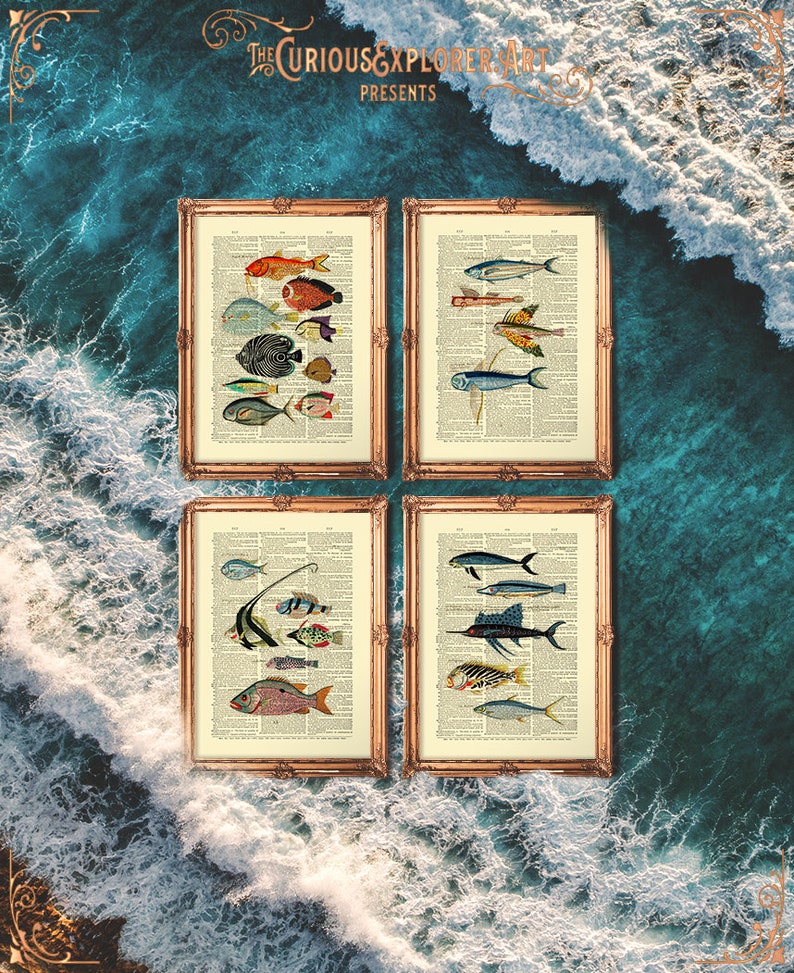 Aquatic Posters Fish Print Pack Fish Prints Tropical Fish | Etsy