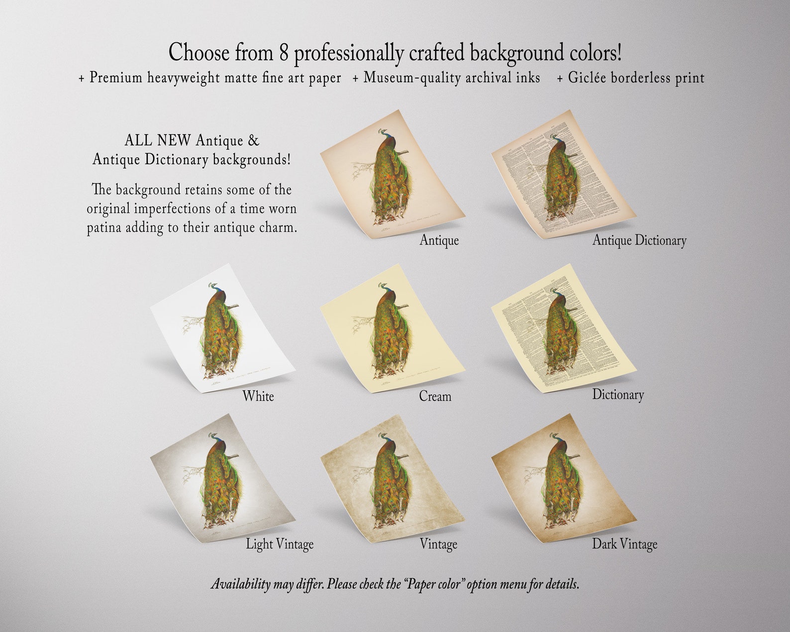 Ibis Bird Print Vintage Birds Prints Boy Present Red Bird | Etsy