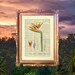 Crane Flower Prints Botany Art Decor Entryway Wall Art Gift - Etsy