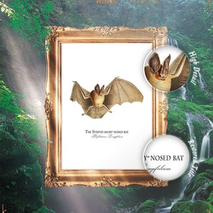 Bat Art Print, Vintage Animal Decor, Bat Halloween, Animal Home Decor ...